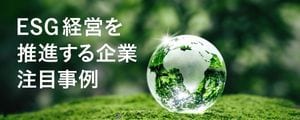 Synesgy企業紹介ページ