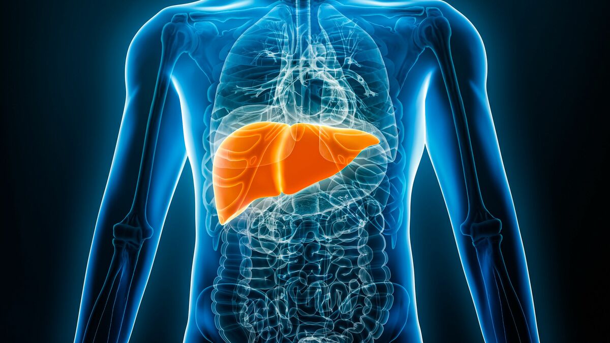 超重要臓器･肝臓をボロボロにするのは酒だけではない…専門医がすぐにやめるべきと話す健康的な飲み物 脂肪肝炎､肝硬変､糖尿病のリスクをグッと ...