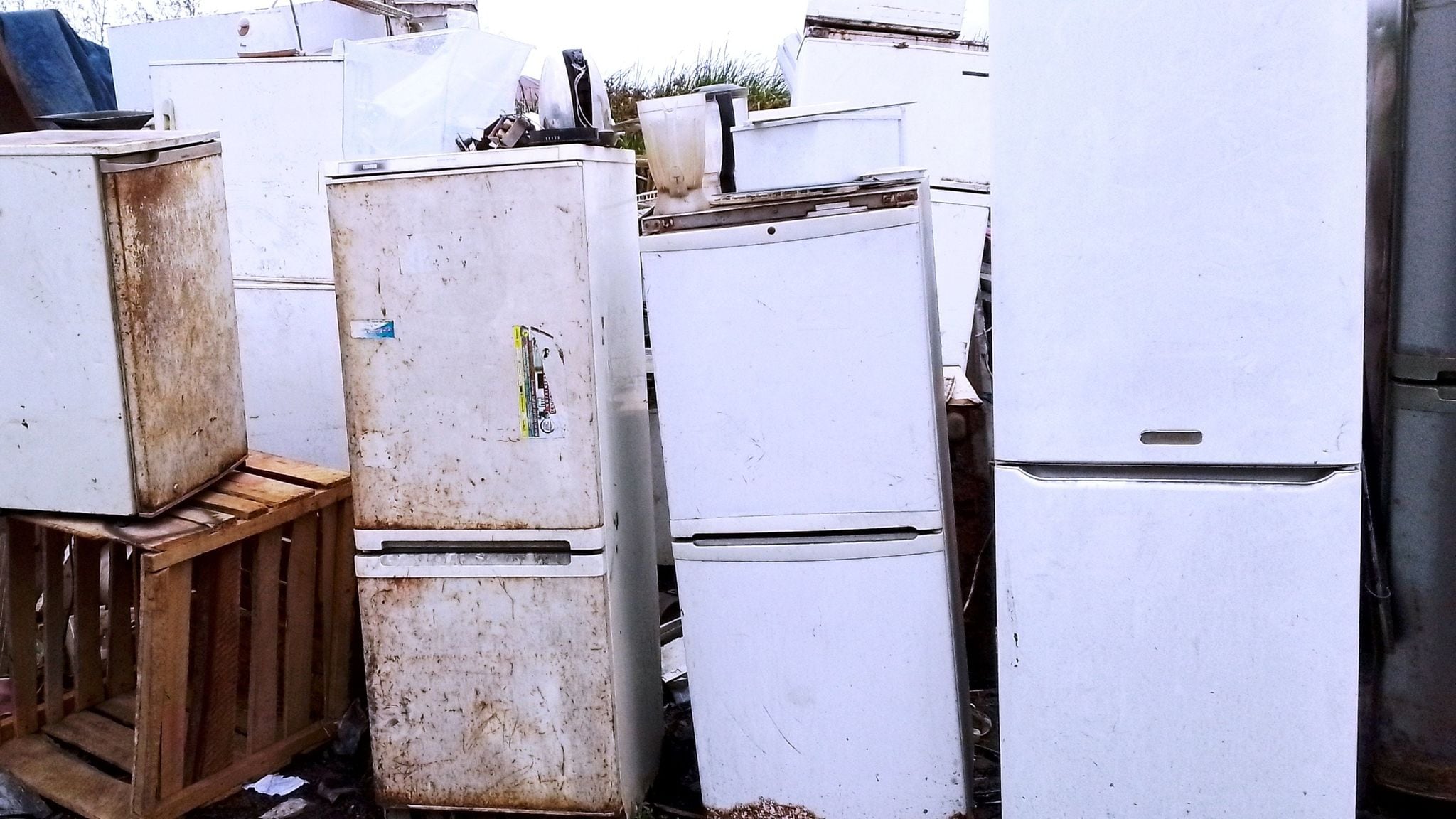 20台の冷蔵庫に囲まれた｢新型ゴミ屋敷｣の異様な光景…50代男性が大型家電･鉄･アルミを集めはじめたワケ ｢ゴミではなく､ヤツらから自衛する ...